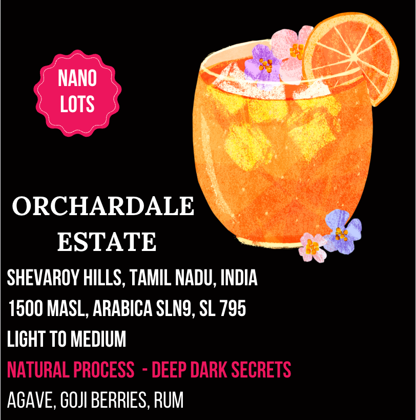 DEEP DARK SECRETS – HILL TILLER COFFEE ROASTERS